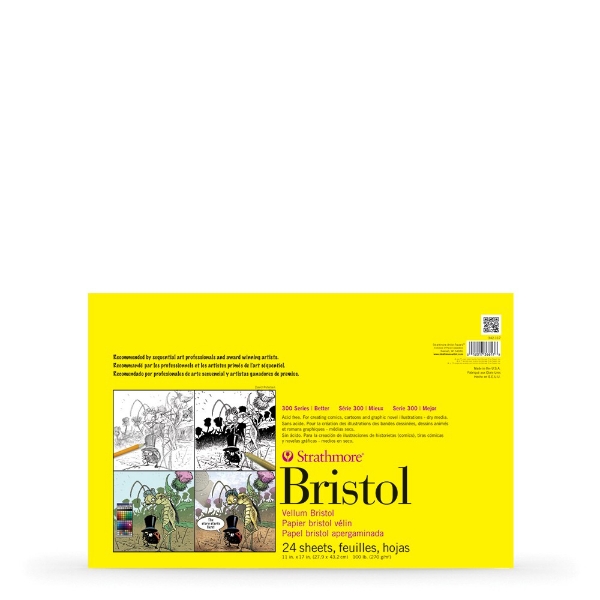 htconline.in| Strathmore 300 Series Bristol 24 sheets 11 x 17 inch (27. ...