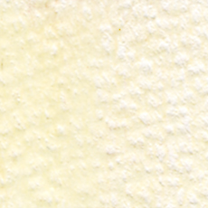 htconline.in| Holbein Color Pencil Ivory-OP116